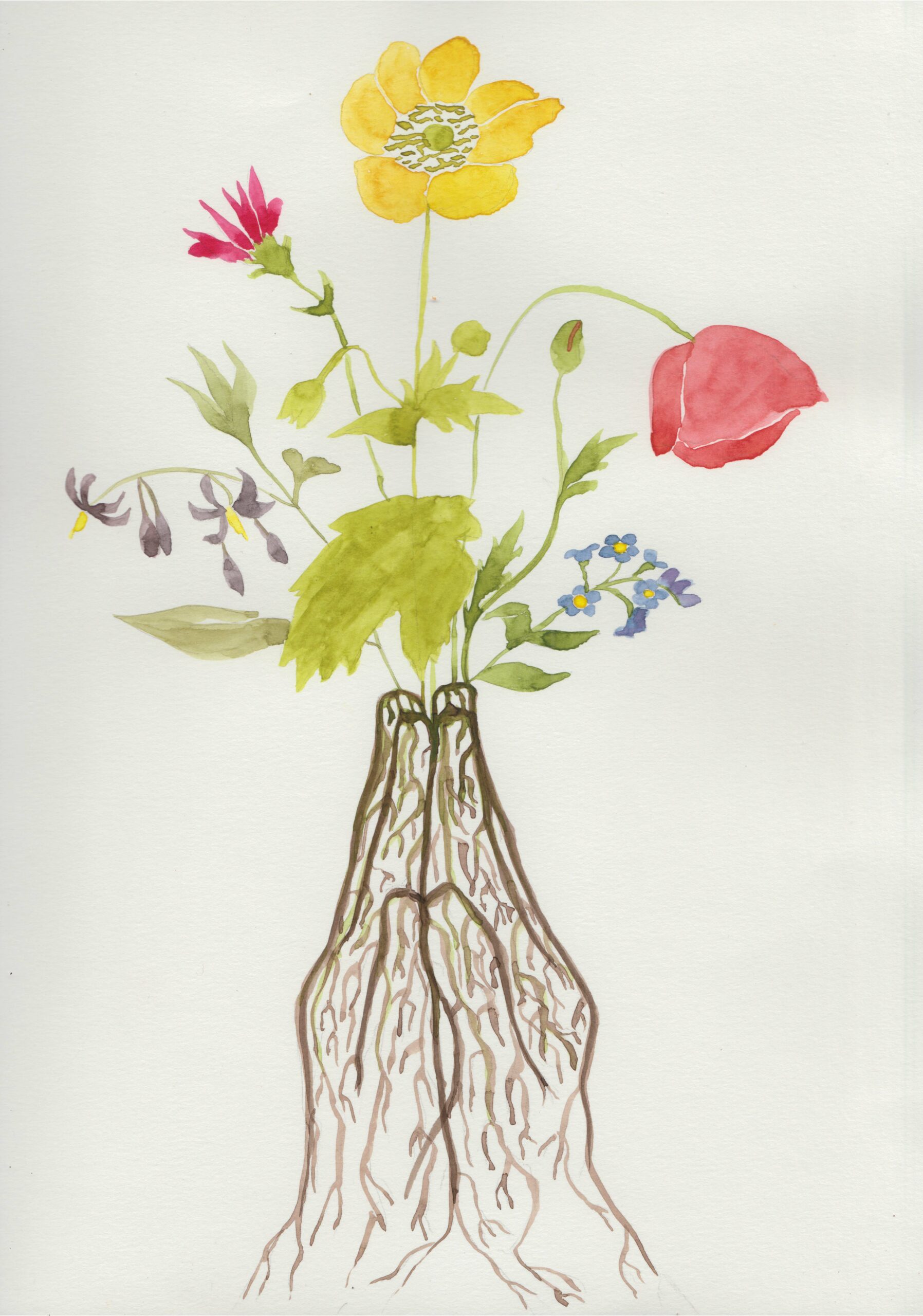 springing forth – Church of the Resurrection